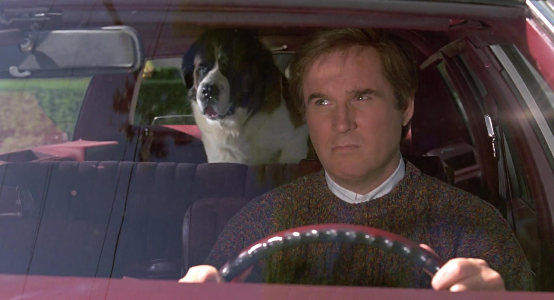 'Beethoven' Review (1992) | The Movie Buff